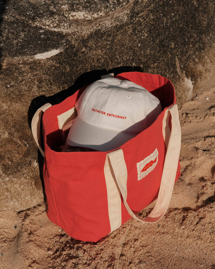 Pilbara Daytripper Tote – Pallion Point